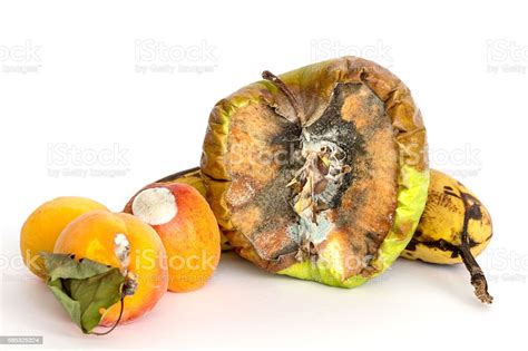 Foto De Frutas Podres No Fundo Branco Fungos De Podridão De Frutas