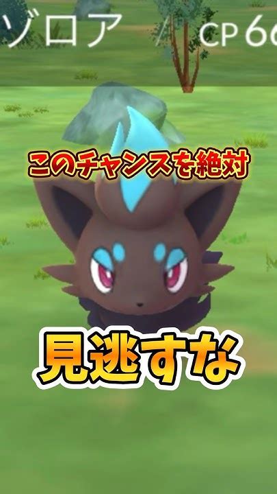 ⚠️ミスると3年間は後悔⚠️ボーナス激アツのポケモンgoのハロウィンイベントが登場！色違いゾロア確率アップ！その他もアツい！【ポケモンgo