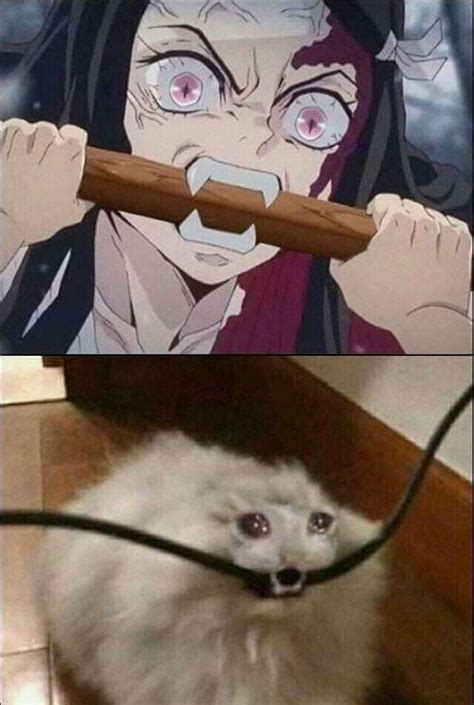 Itchi R Demonslayeranime
