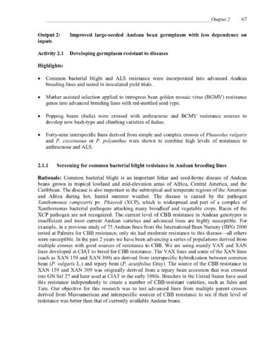 Improved Large Seeded Middle Andean Bean Germplasm With Less Dependence