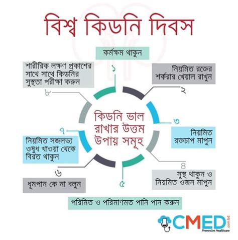 V I P Homeopathy Medicine Store কিডনি আমাদের শরীরের অত্যন্ত