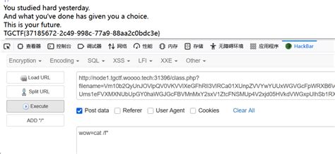 tgctf web csdn博客