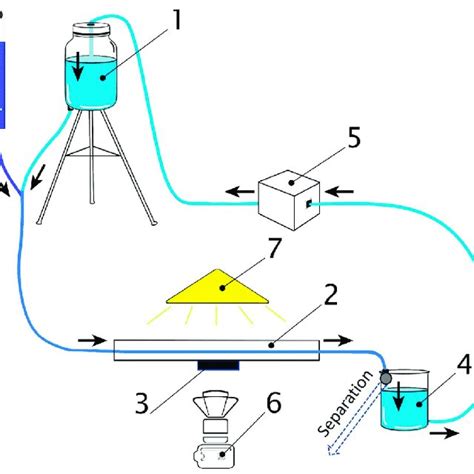 Schematic Of Experimental Hydrodynamic Setup For Positioning Ferrogel Download Scientific