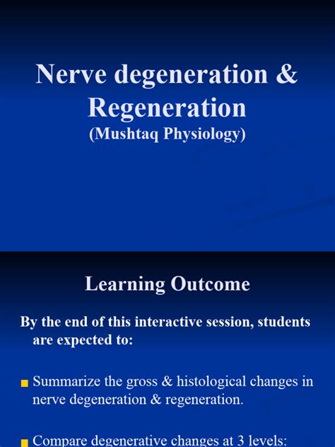 Nerve Degeneration And Regeneration Pdf Neuron Axon