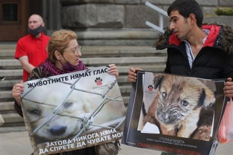 Предстои национален протест срещу насилието над животни Родопи Инфо