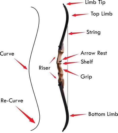 Anatomy Of A Bow A Visual Guide