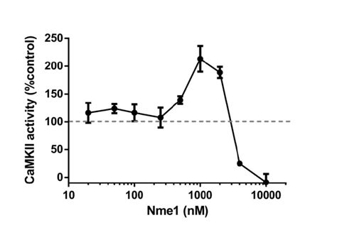 The Metastasis Suppressor Protein Nme1 P2pscins