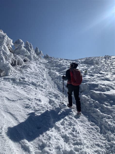 スノーモンスターに会いたくて🦖 ️南沢山・横川山 Blueroseさんの恵那山・大判山・神坂山の活動データ Yamap ヤマップ