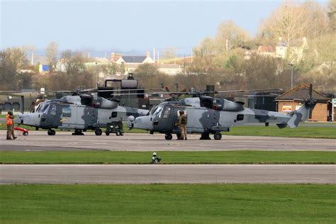 ZZ375 to ZZ535 - 65 Wildcats, RN and Army - FighterControl