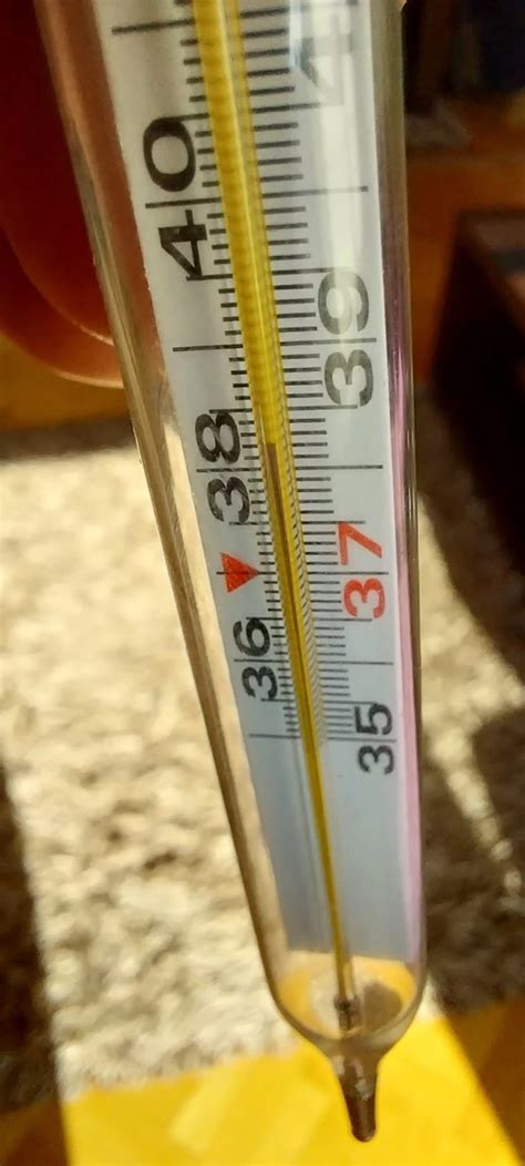 Ambulante Pune Pacijenata Sa Visokom Temperaturom Koju Ne Mogu Da Skinu Svi Imaju Jedan Isti