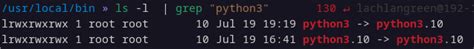 Discovering Python Interpreters Never Finishes Due To Presence Of Symbolic Link Loop · Issue
