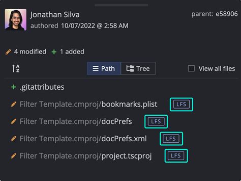 Git Lfs In Gitkraken Desktop Store Binary Files