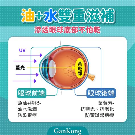 了解乾眼症三大類型，乾眼症吃什麼才有效？ Gk健康網