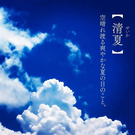 凋零的樹葉 從枝頭上飄落 徹骨的冷冽 令指尖顫抖 當一副軀殼被賦予了過多的寄托 竭盡了一生 找到了願望之時 已成了殘破的灰燼