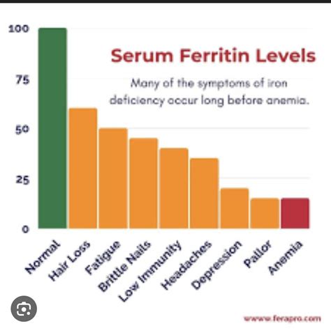 Low Ferritin Symptoms R Anemic
