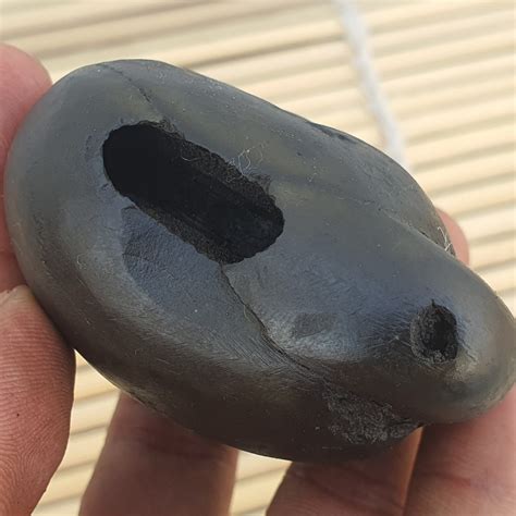 Golden Narsimha Shaligram Shaligram Shila Gandaki River Nepal