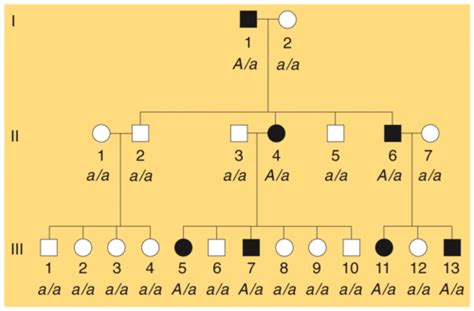 Genetics Lecture 5 Extensions Of Mendelian Inheritance Flashcards