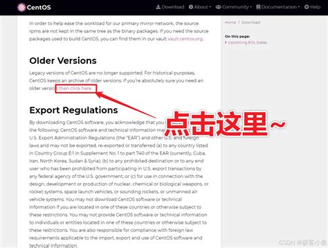 零基础保姆级教程！手把手教你免费玩转linux centos安装 学习环境搭建（附避坑指南） 极客小俊 博客园