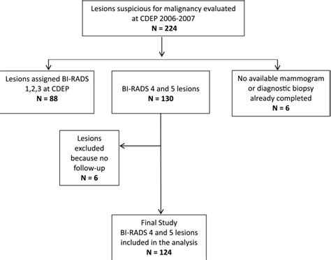Bi Rads 4 And 5 Lesions Included In The Final Analysis In 213 Download Scientific Diagram