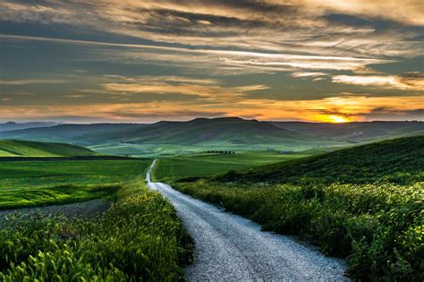 Sunlight Trees Landscape Sunset Flowers Italy Hill Nature Grass