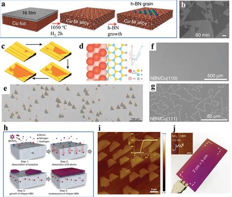 Development Of Hbn Scalable Synthesis By Cvd A Schematics Of Hbn Cvd