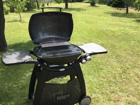 Fisch Grillen Weber Temperatur Fischlexikon