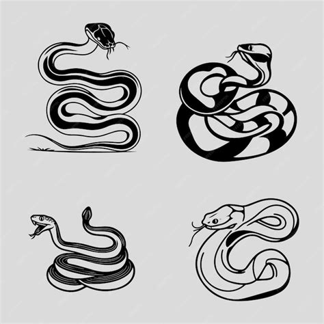 Premium Vector Python Vector Designs For Eye Catching Design Elements