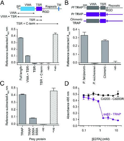 The P Falciparum Trap Vwa Domain Is Required For Integrin αvβ3