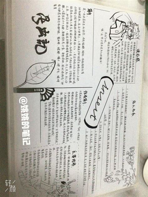 初二昆虫记阅读手抄报 昆虫记手抄报 普车都