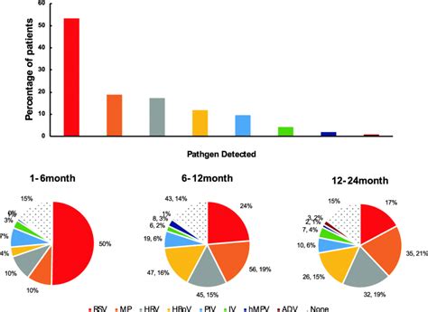 Distribution Of Pathogens At Different Age Groups Download Scientific