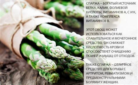 Спаржа для похудения: калорийность и химический состав, полезные и ...