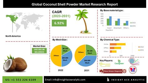 Coconut Shell Powder Market Growth Opportunities Analysis