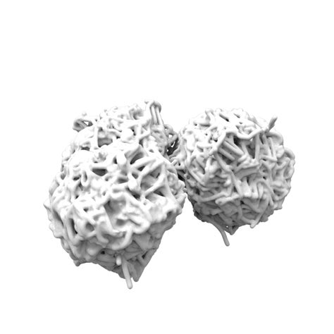 Planococcus Halocryophilus Extreme Tour