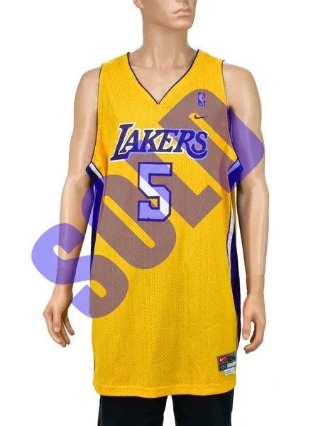 Robert Horry Los Angeles Lakers Nike Swingman Jersey Doctor Funks