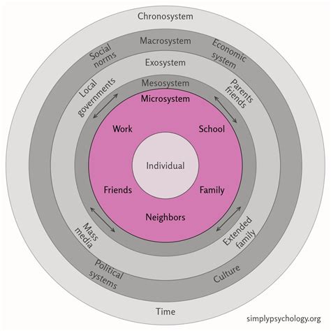Bronfenbrenners Microsystem Theory