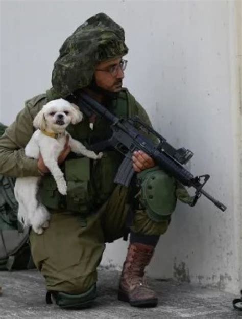 Idf M16 Carbine Menusar 24hourcampfire