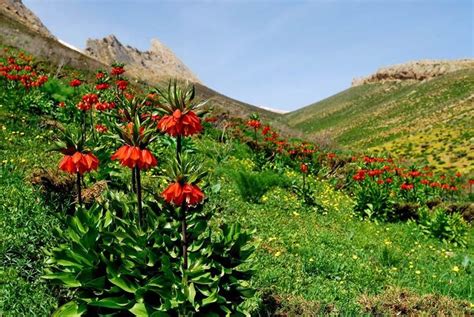 Pin On Paysages Et Nature Natural Landmarks Nature Landmarks