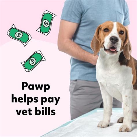 Experts Guide To Emergency Vet Visit Cost Updated 2022 The Goody Pet
