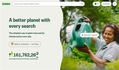 Does Ecosia Actually Plant Trees Social Search Engine Teksed