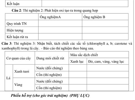 SKKN sử DỤNG PHƯƠNG PHÁP dạy học THEO góc đáp ỨNG PHONG CÁCH học tập để