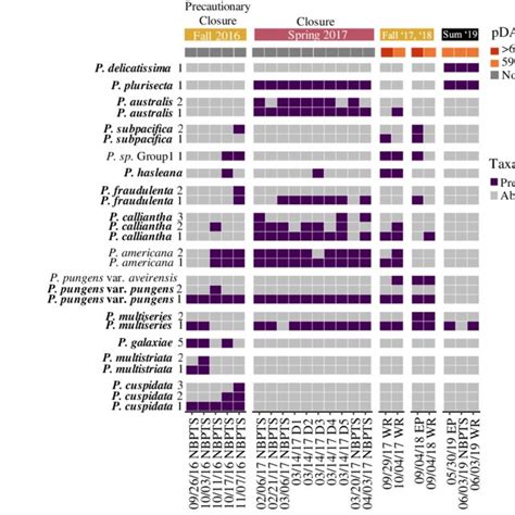Pseudo Nitzschia Spp Detected In Samples Around The 2016 Precautionary