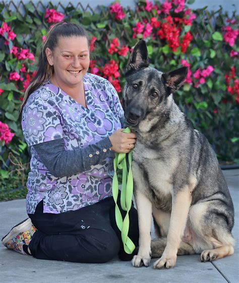 Westside German Shepherd Rescue Of Los Angeles