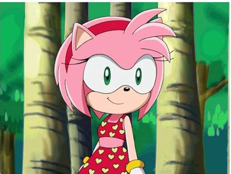 Bild Amy Rose Sonic X Lovely 12159  Sonicwiki Fandom Powered