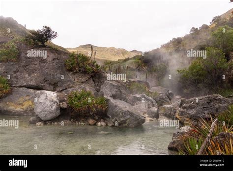 Thermal Springs In Los Nevados National Park In The Cordillera Central