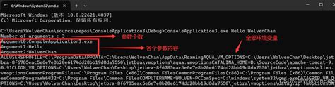 c c 逆向：寻找main函数（debug x86） 伪c代码中如何查找主函数 csdn博客