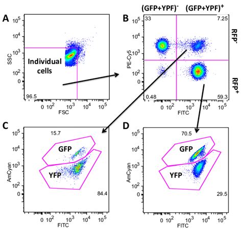 Figure B 2 Example Of Flow Cytometry Analysis In Each Graph Each Download Scientific Diagram