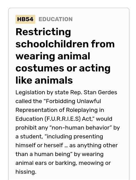 Banning Meowing In Schools A Valuable Use Of Government Time And