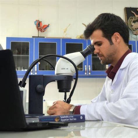 Amir Dehghani Phd Assistant Professor Phd Azarbaijan Shahid