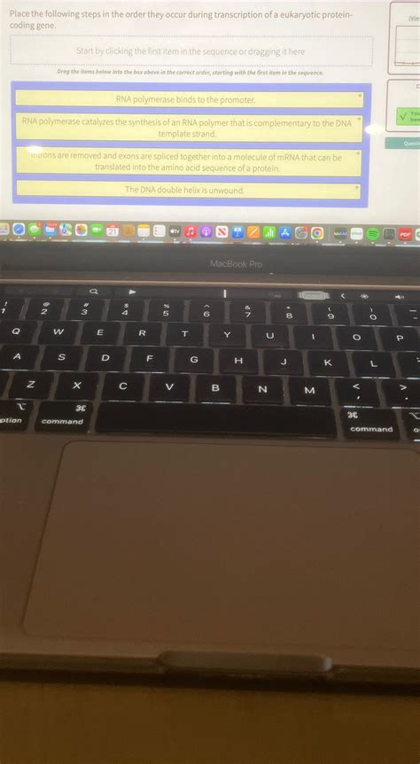 Solved place the following steps in the order they occur | Chegg.com