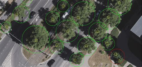 Automatic Tree Detection Error In Comparison To True Situation Of